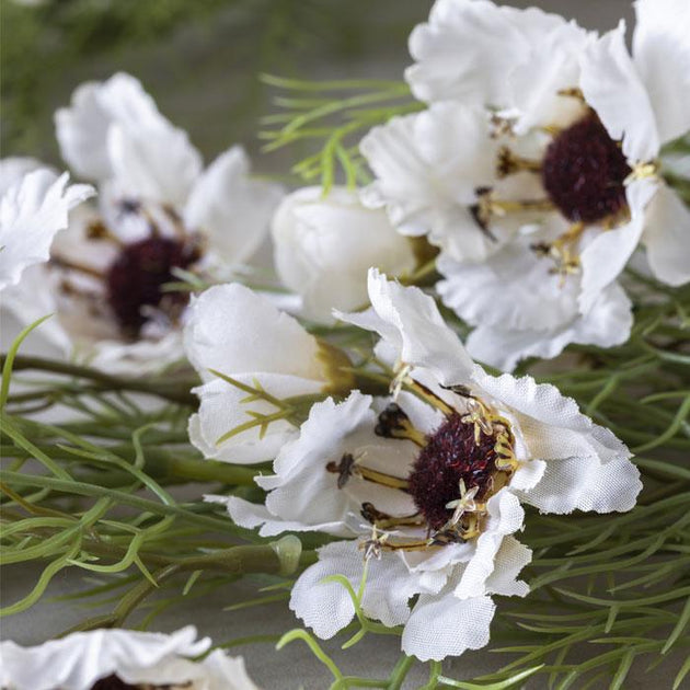 Cosmos Cream Stem – Park and Oak Collected