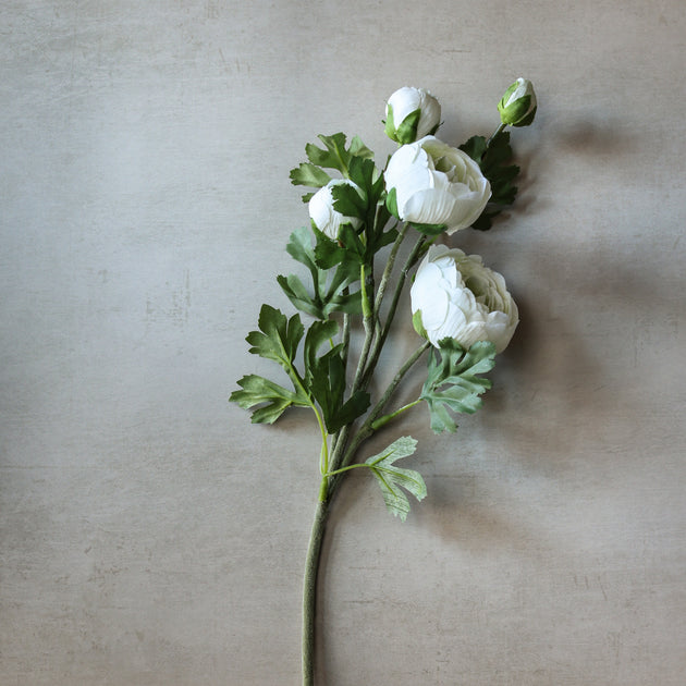 21.5" White Real Touch Ranunculus Stem – Park and Oak Collected