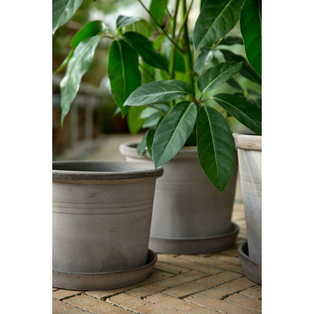Galestro Pot – Park and Oak Collected