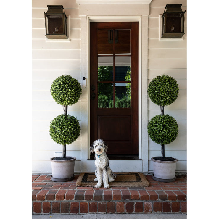 15" Boxwood Double Ball Topiary, 54"H – Park and Oak Collected