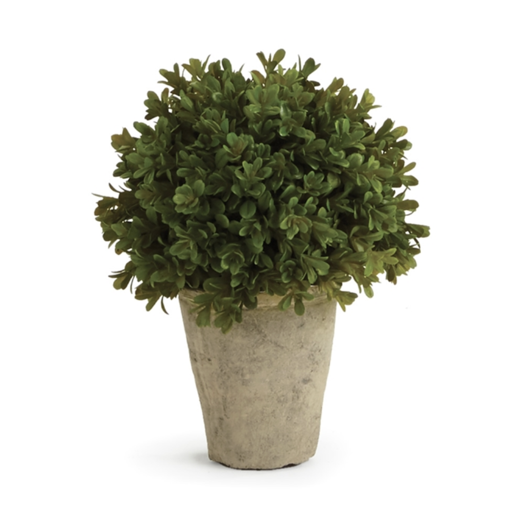 Plants & Trees – Park and Oak Collected