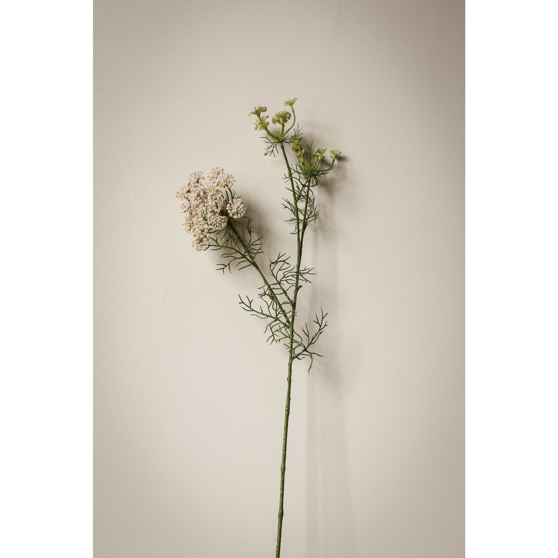 35" Pink Dill Flower Stem – Park and Oak Collected
