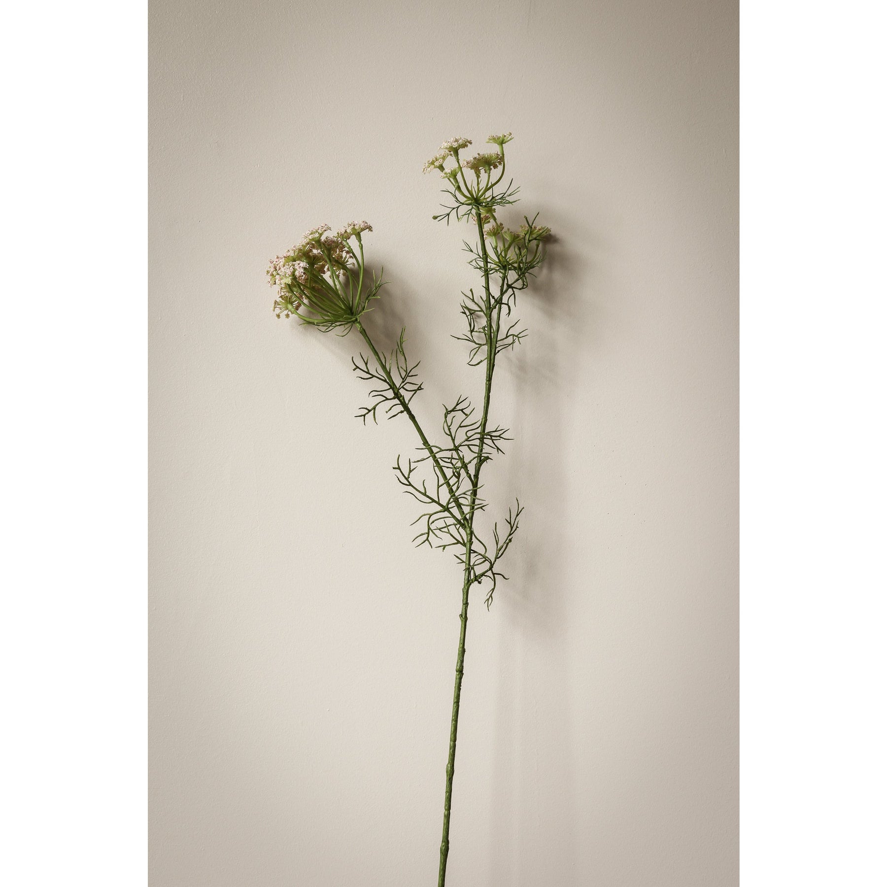 35" Pink Dill Flower Stem – Park and Oak Collected